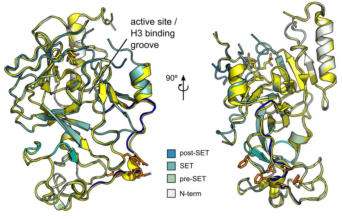 Structure Gallery – Schalch Lab